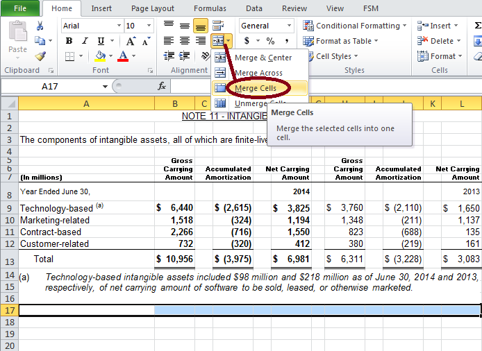 Excel Fsm Tutorial Notes And Reports Financial Statement Masters